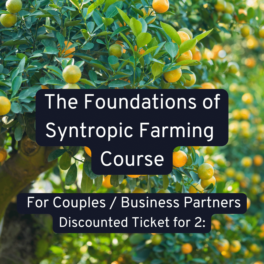 Syntropic Agroforestry Courses — Syntropia Syntropic Farming