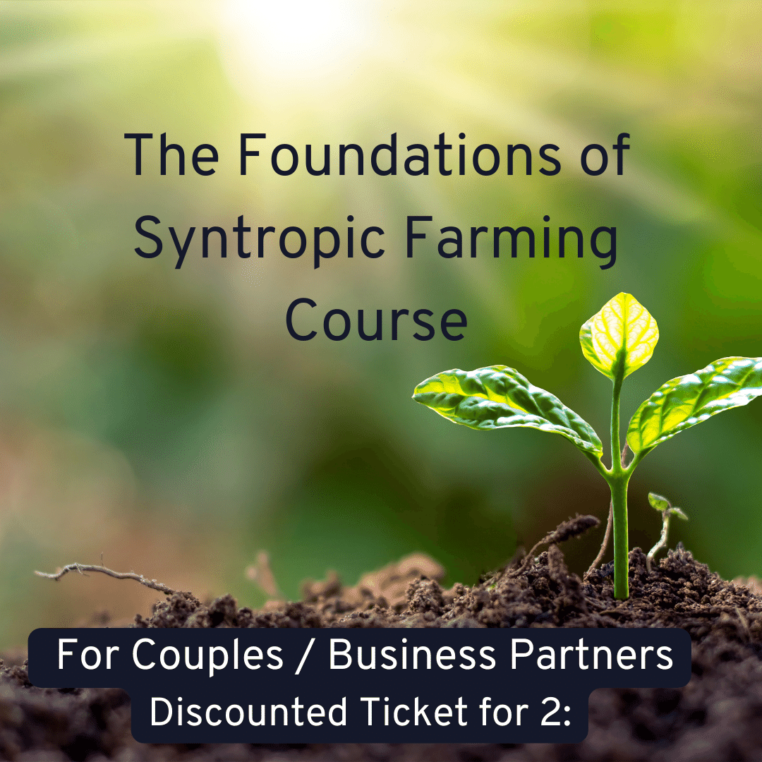 Syntropic Agroforestry Courses — Syntropia Syntropic Farming