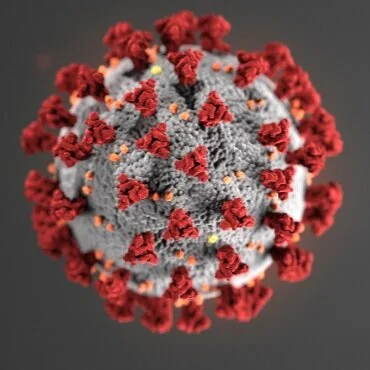 Tagalaka Aboriginal Corporation