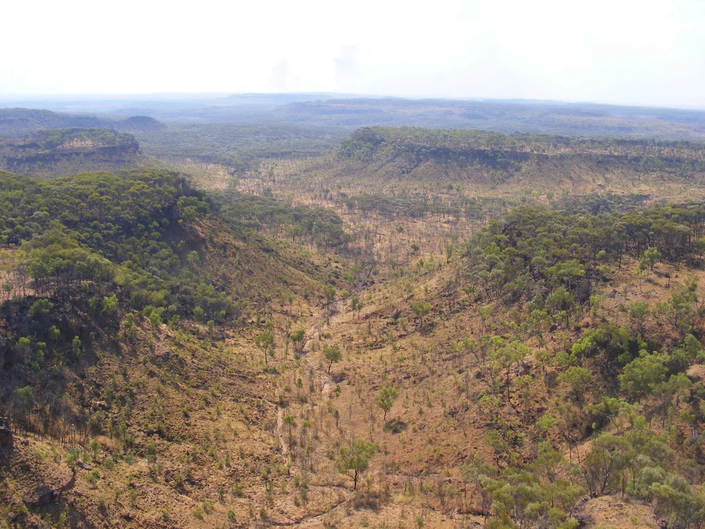 Become a Member — Tagalaka Aboriginal Corporation