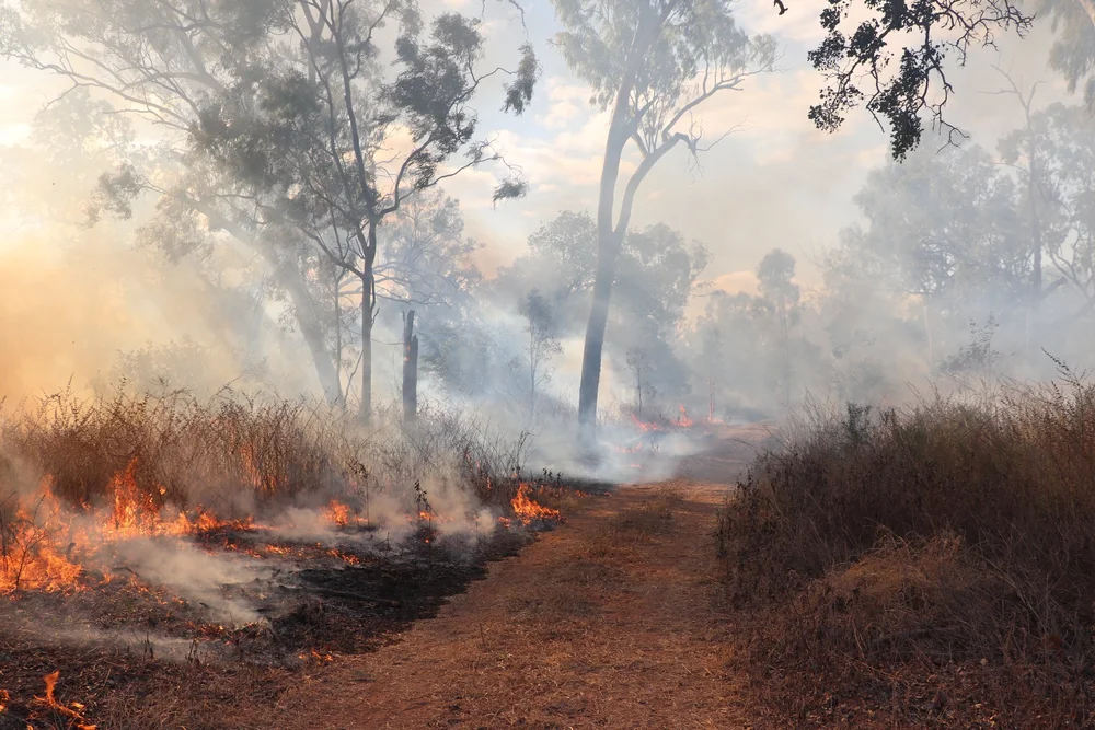 Carbon Projects — Tagalaka Aboriginal Corporation