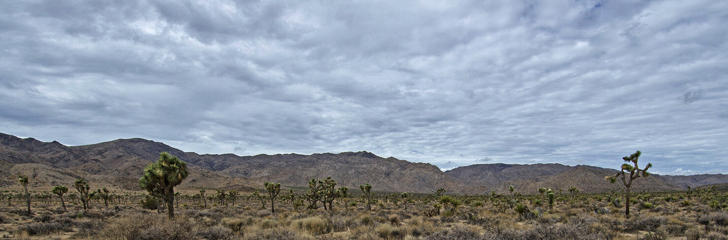Samuelson’s Rocks - Joshua Tree National Park — Abandoned Places, Gold ...