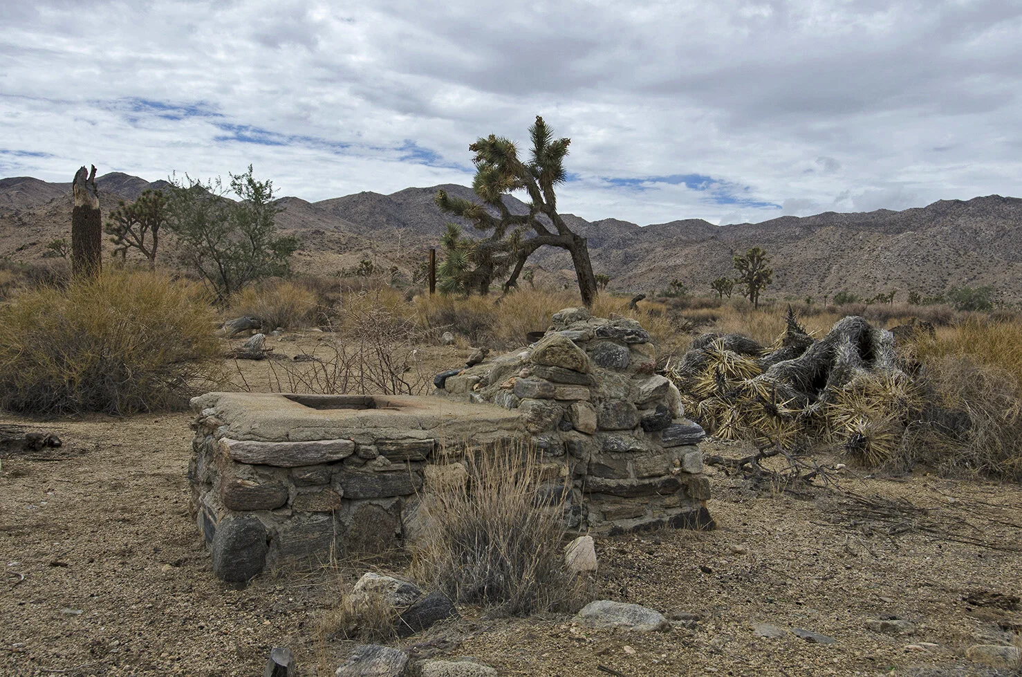 Samuelson’s Rocks - Joshua Tree National Park — Abandoned Places, Gold ...