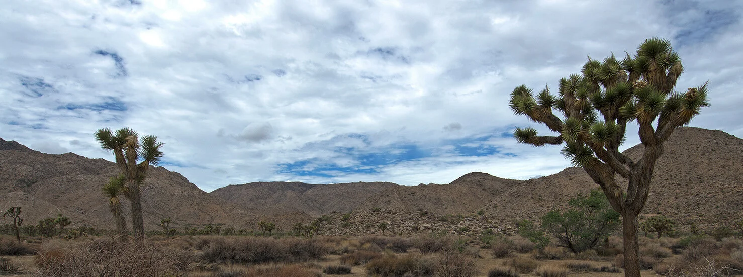 Samuelson’s Rocks - Joshua Tree National Park — Abandoned Places, Gold ...