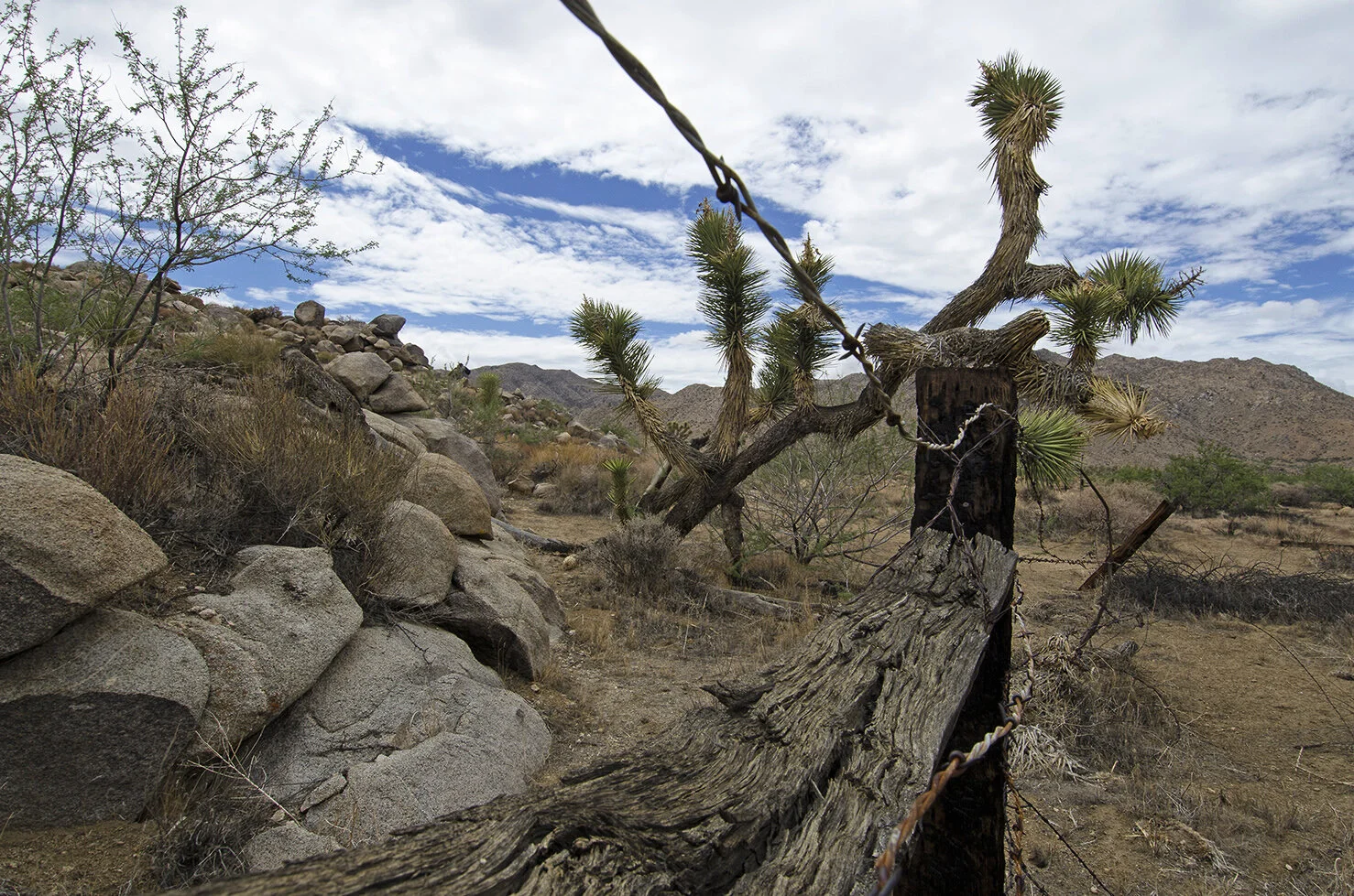 Samuelson’s Rocks - Joshua Tree National Park — Abandoned Places, Gold ...