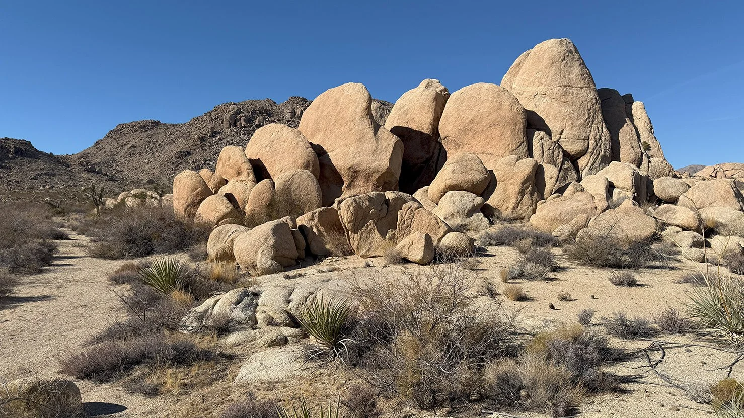 Pinto Wye Trek - Why Not? - Joshua Tree National Park — Abandoned ...