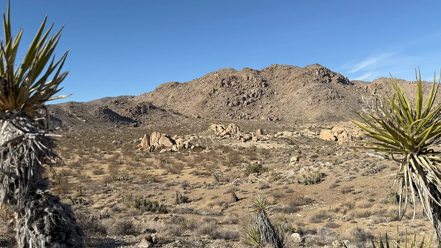 Pinto Wye Trek - Why Not? - Joshua Tree National Park — Abandoned ...