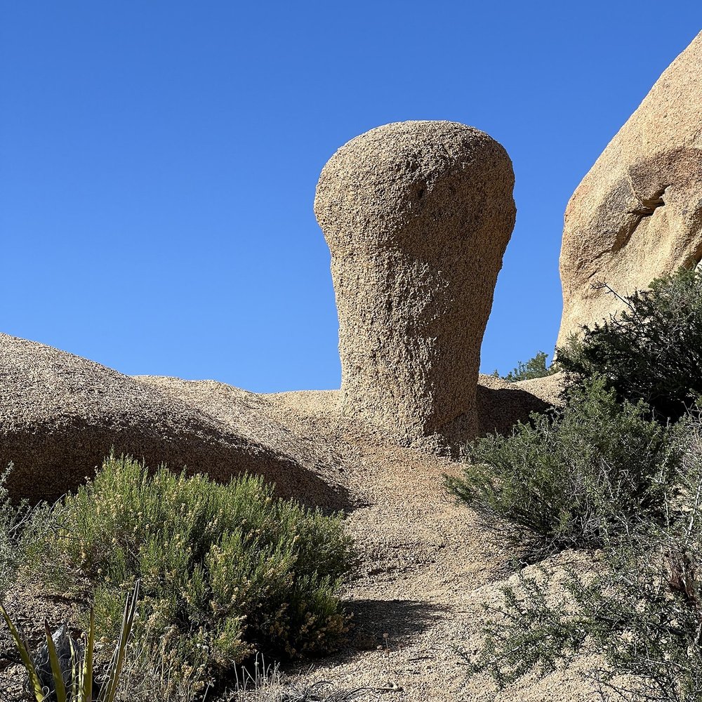 Lazing on a Sunday Afternoon - Joshua Tree National Park — Abandoned ...
