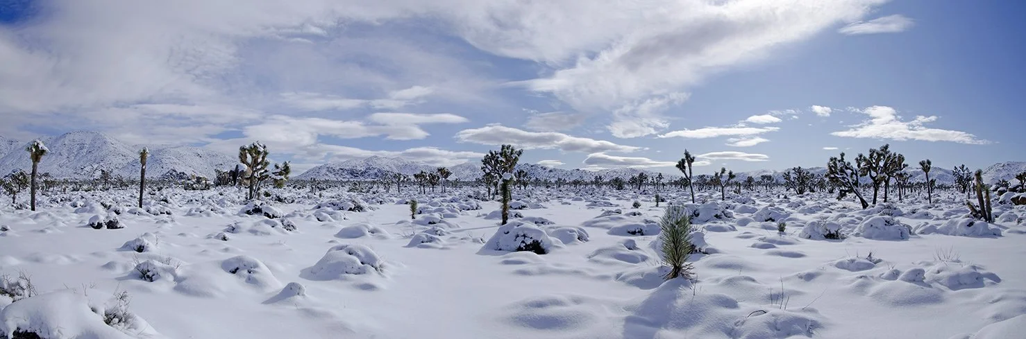Snow in the Desert? - Joshua Tree National Park — Abandoned Places ...