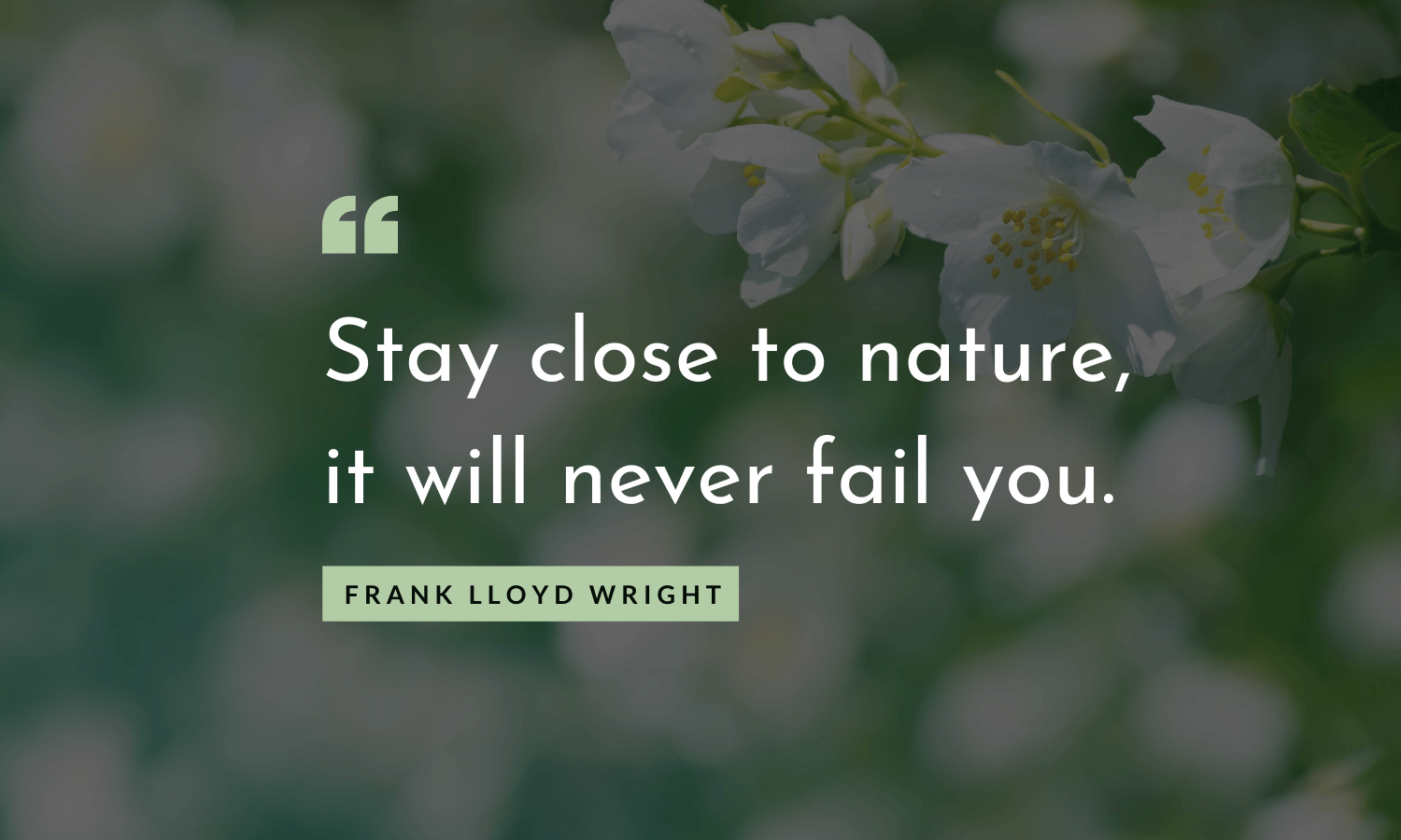 Dr. Lisa Polinsky - Naturopathic Doctor in Victoria BC, Canada