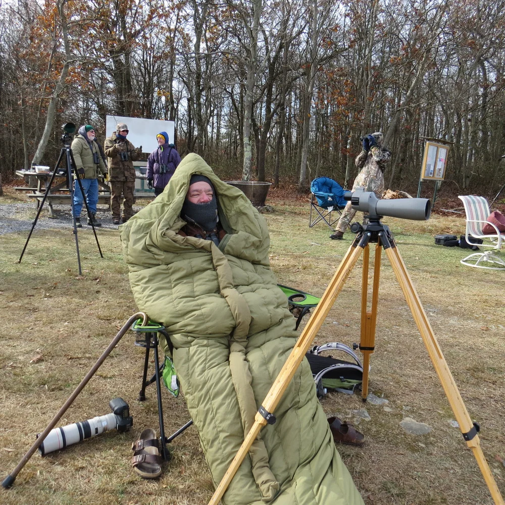 About the Hawk Watch — Allegheny Plateau Audubon Society
