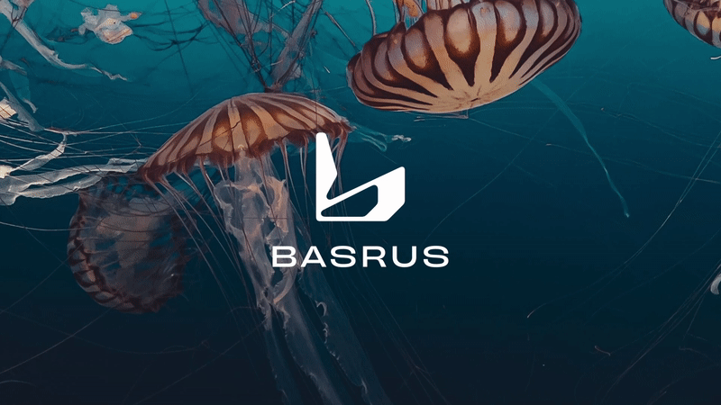 Our work — Nicework