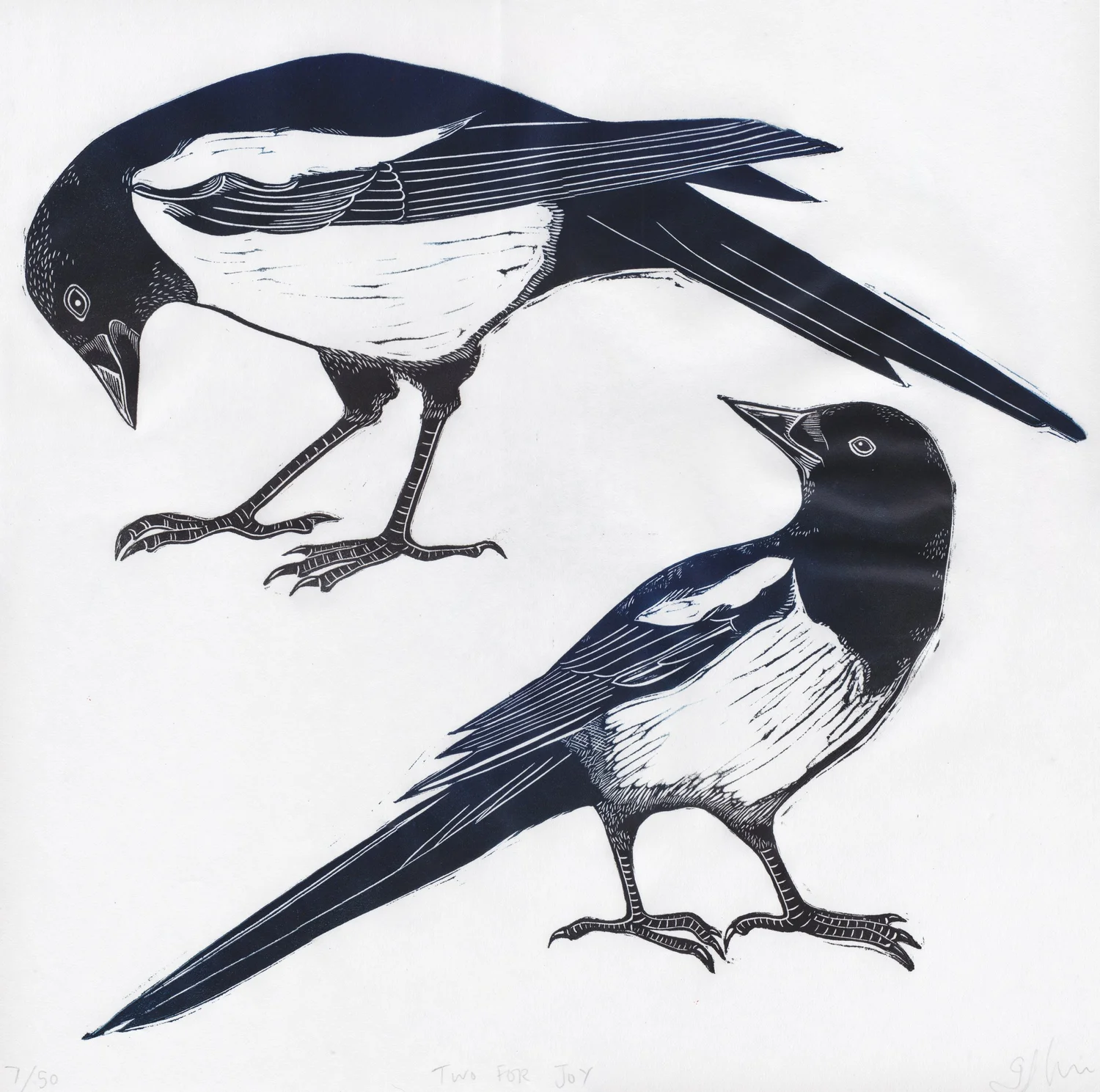 Linocut prints — Shop — Georgia Flowers Printmaking