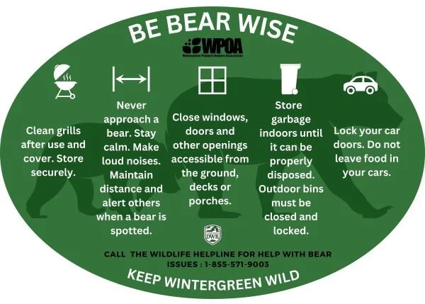 Bear Smart — Wintergreen Property Owners Association