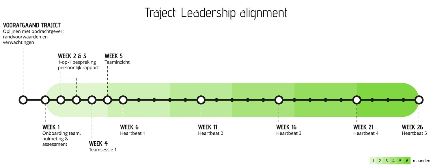 Leadership alignment — TeamRol-Indexator