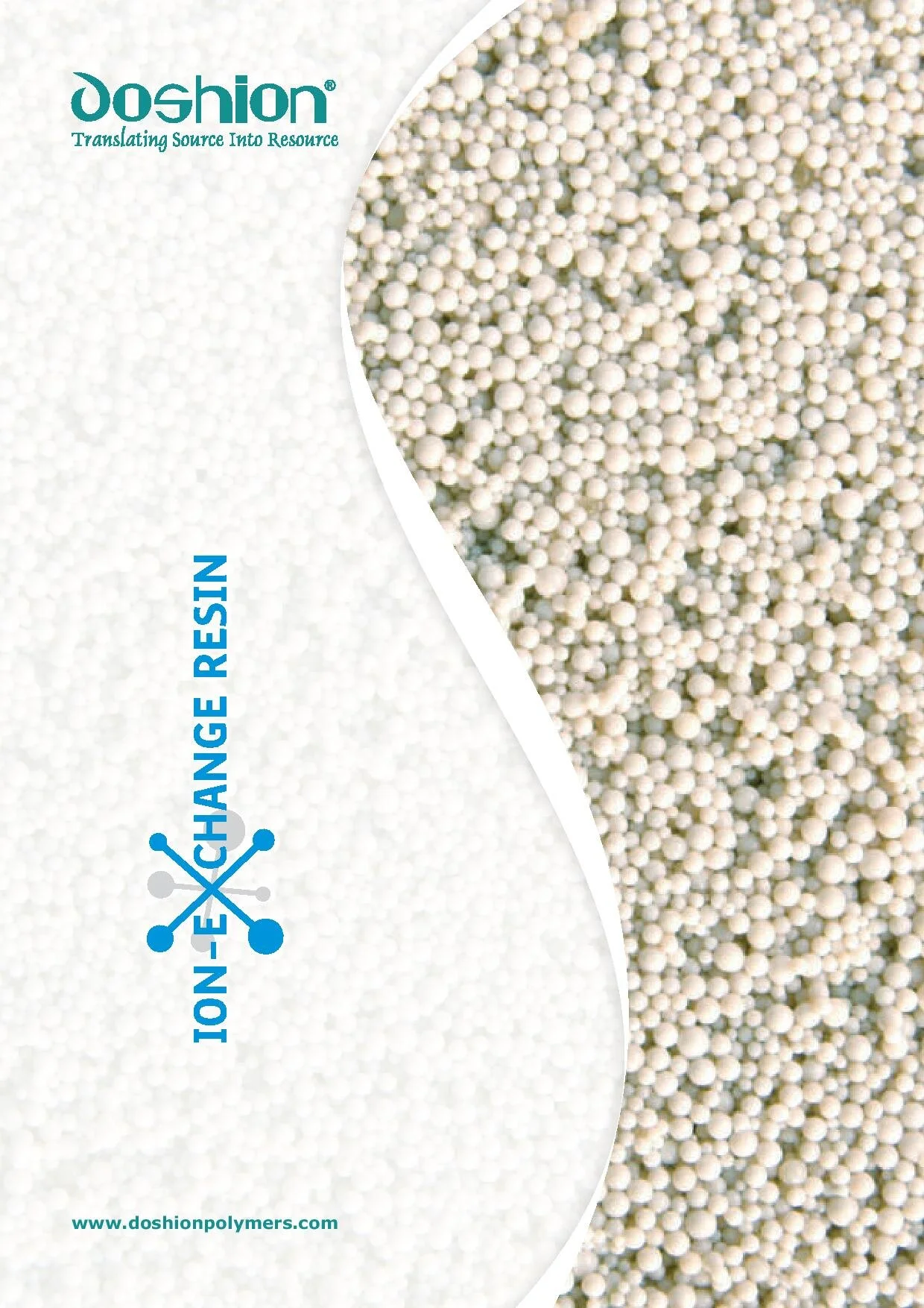 Products - Ion Exchange Resin — Doshion Polyscience