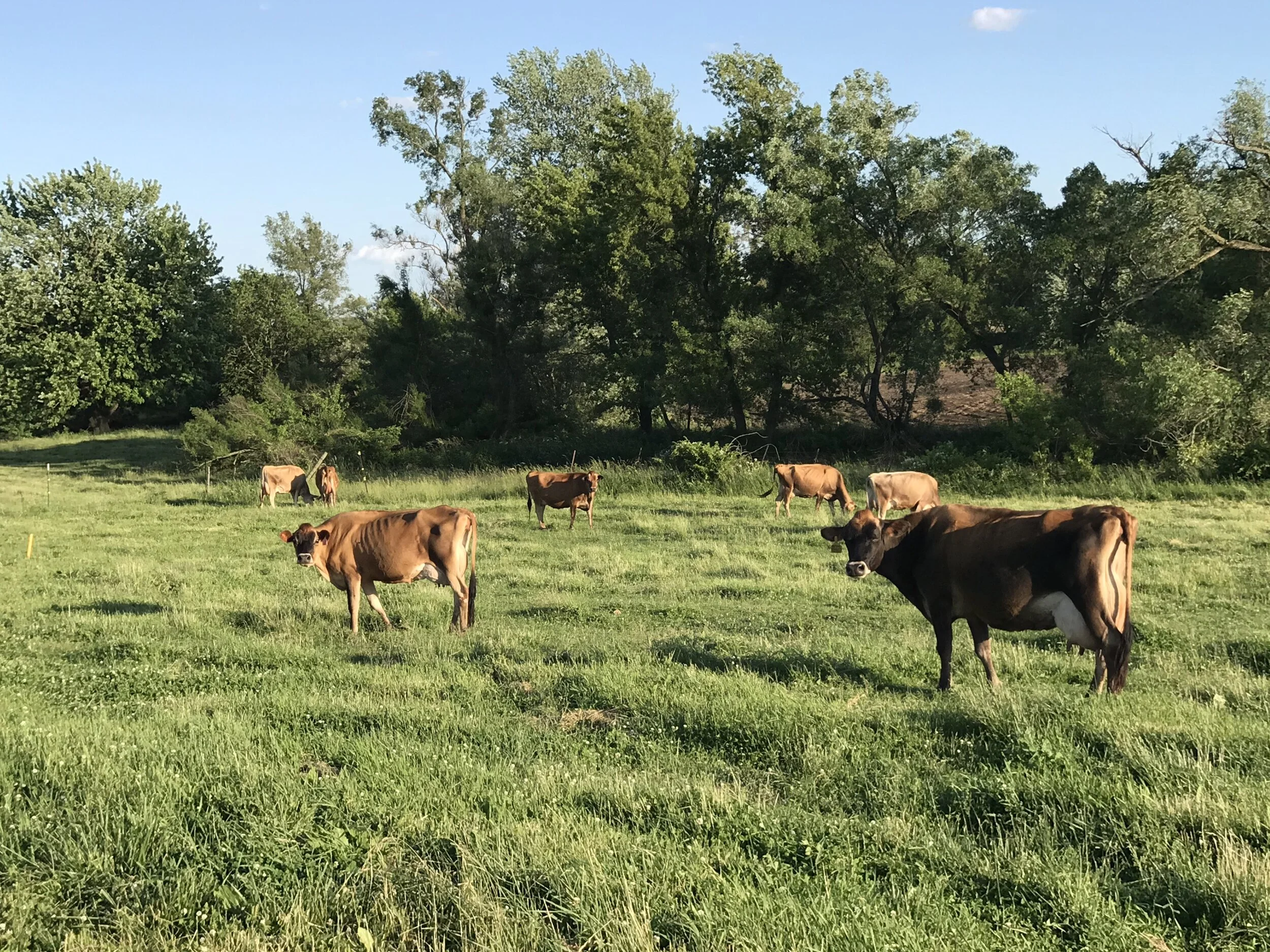 Practices — Deerland Dairy