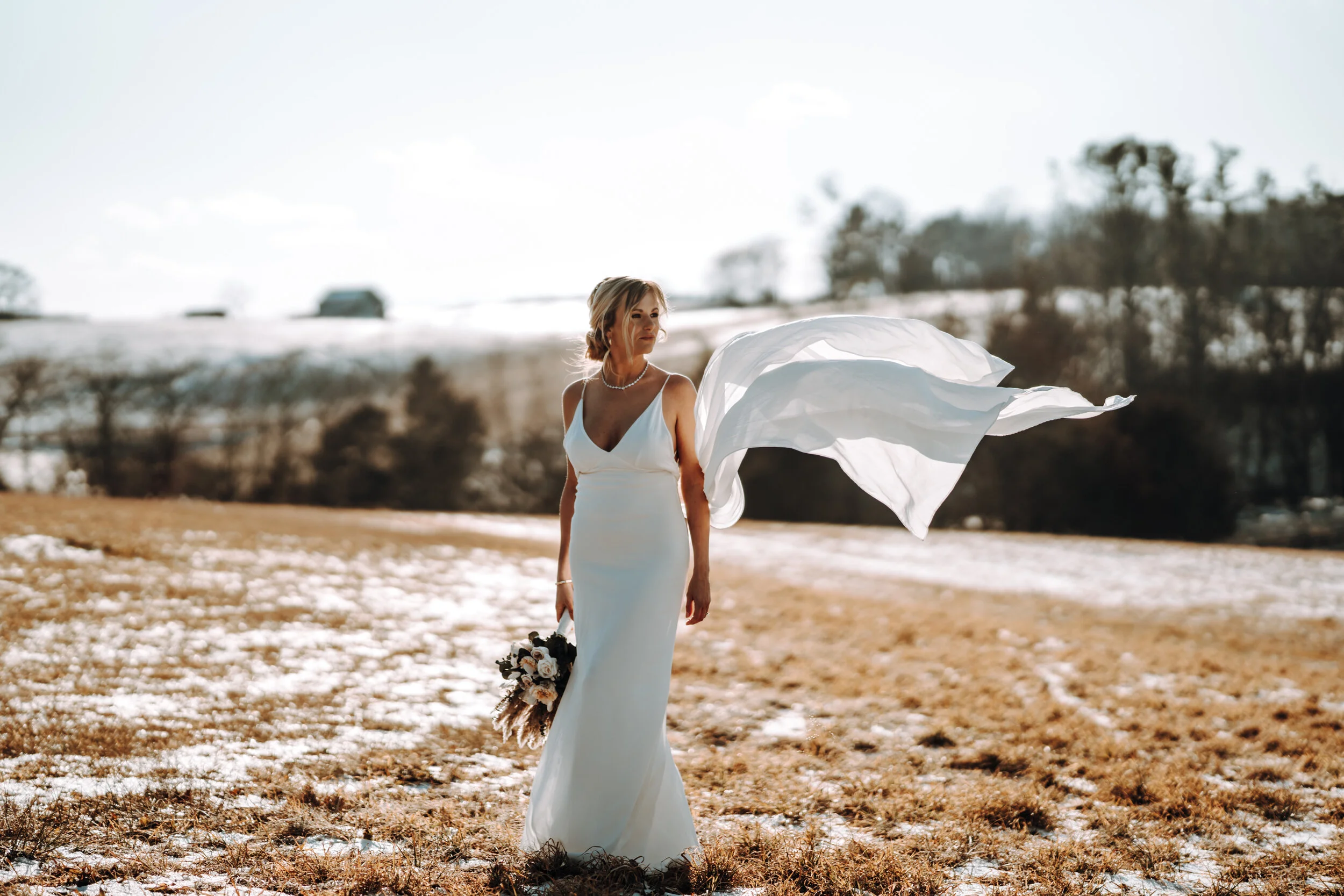 Reviews — RENBACK BARN