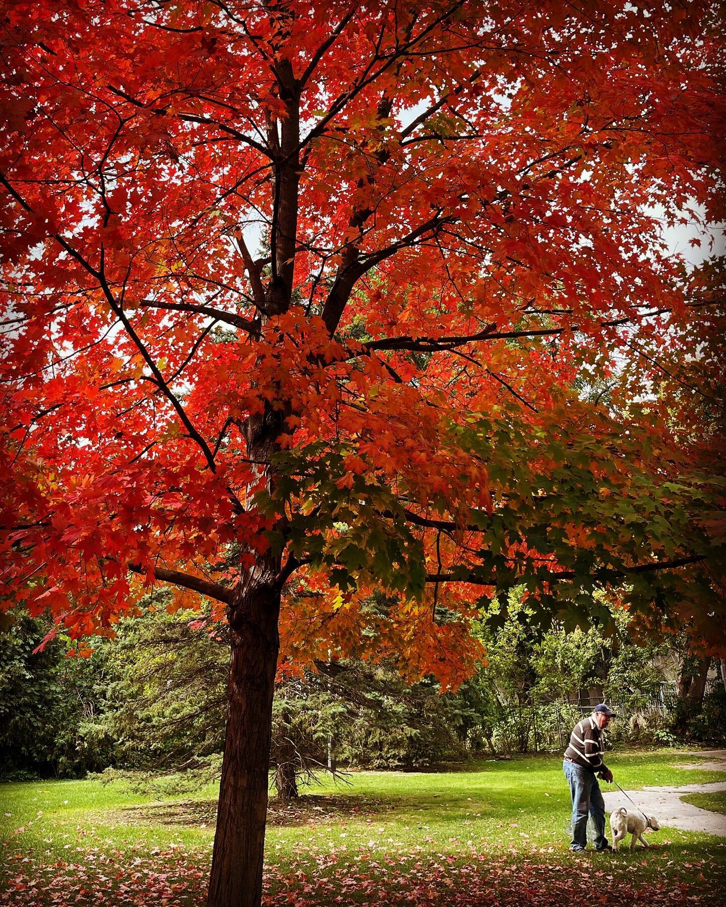 Timothy Barlow | Perspective Coach