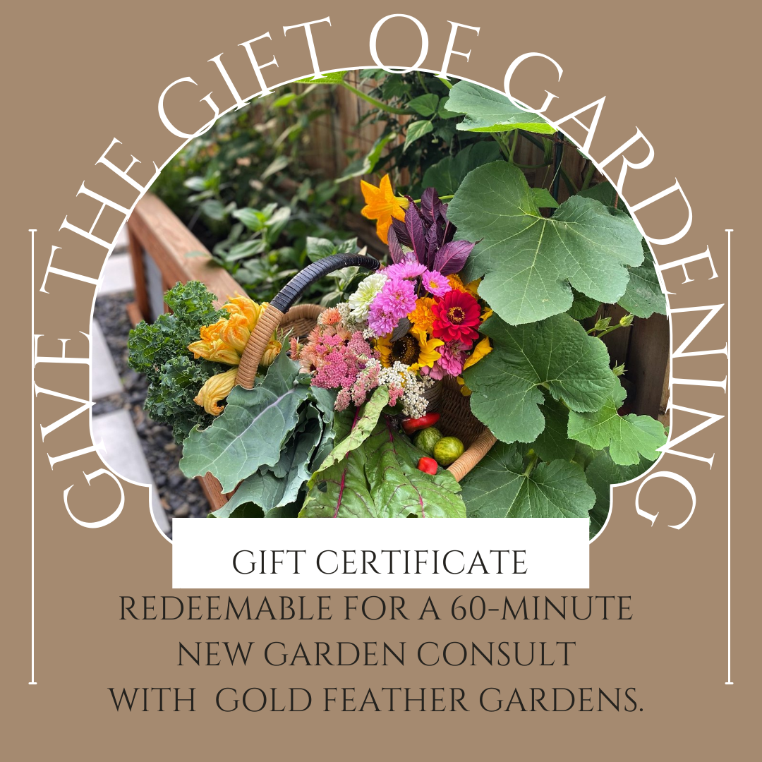 Gift Certificate - Kitchen Garden Design Consultation — Gold Feather ...