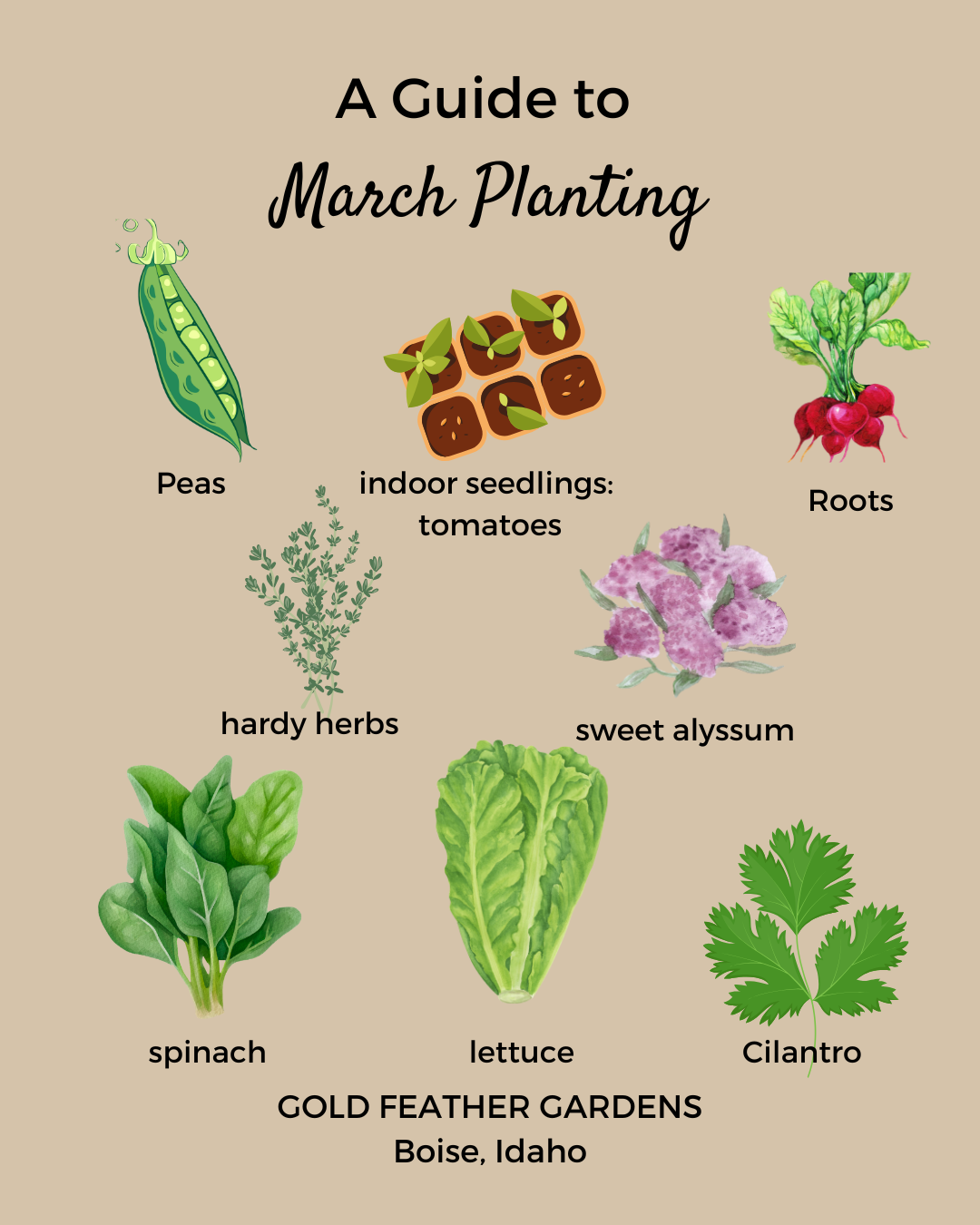 What to Plant in March in Raised Beds in Boise, Idaho — Gold Feather ...