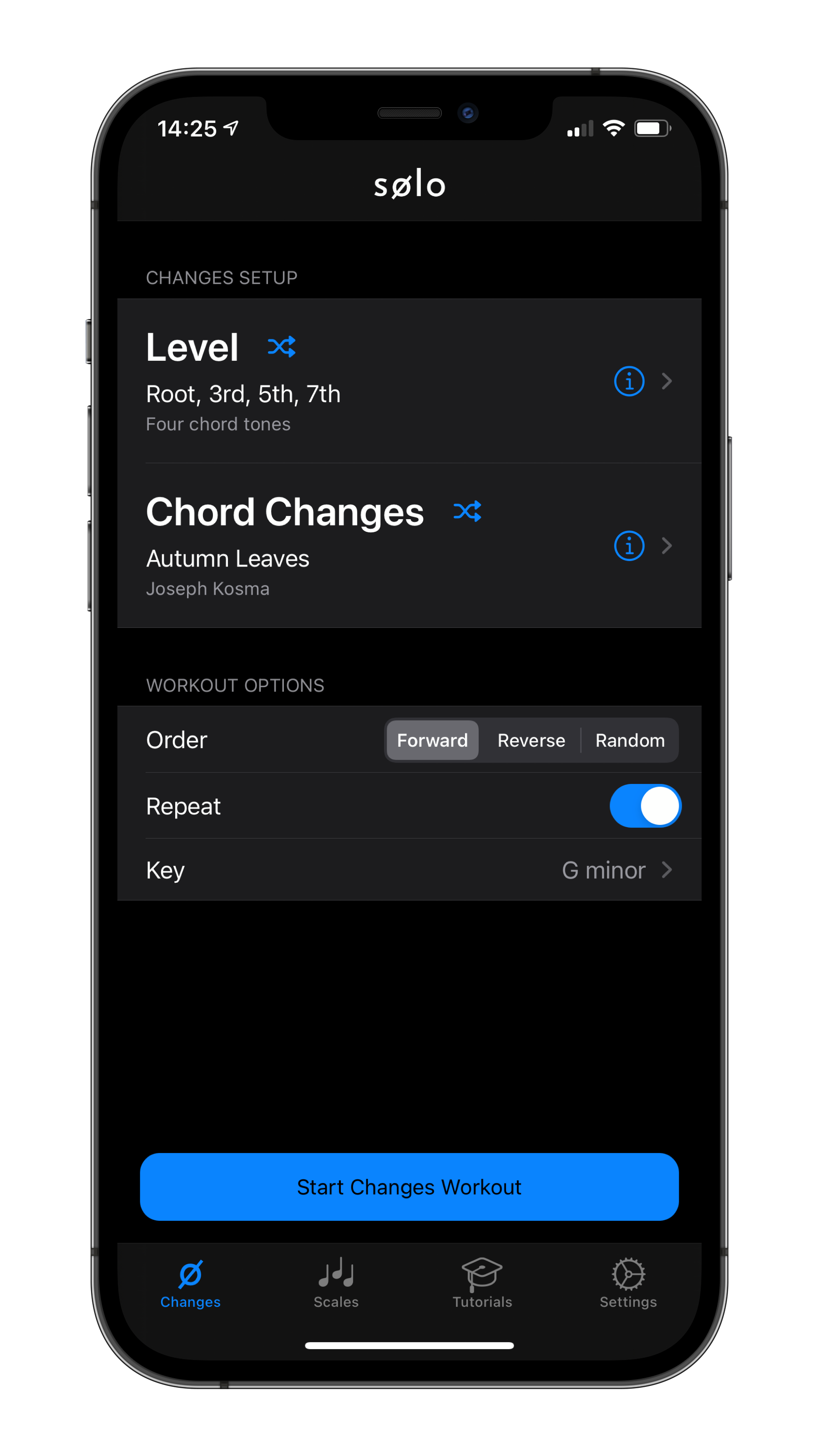 Solo - Fretboard Visualization App