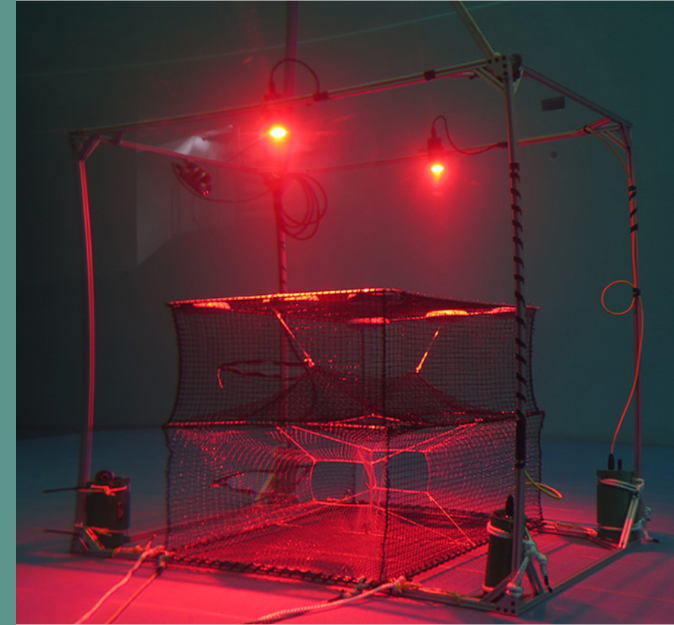 Subsea Imaging Cameras, Lights, and Lasers - SubC Imaging