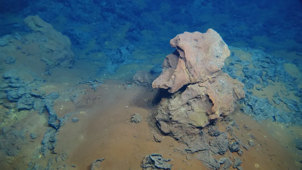 The Rayfin subsea camera records 4k and HD video and takes high ...