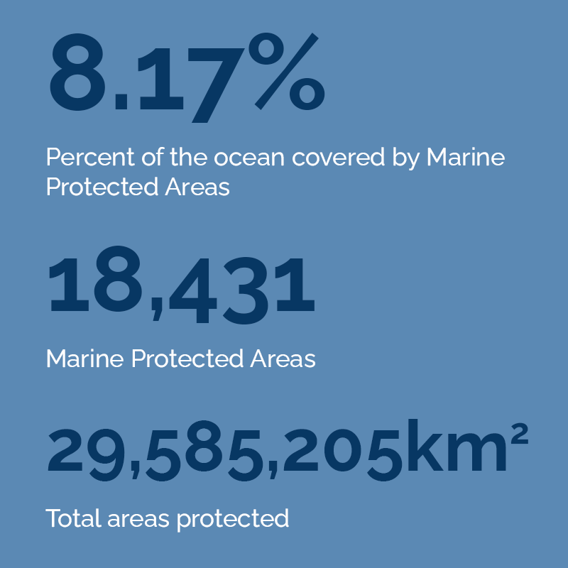 How Ocean Observatories Influence Marine Protected Areas — SubC Imaging