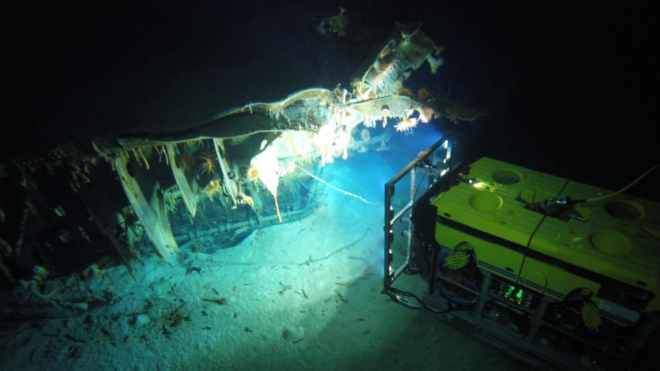 Subsea imaging systems for marine biodiversity and marine science ...