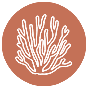 Ocean Observatory Camera Systems for Long-Term Monitoring — SubC Imaging