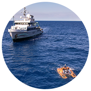 Guide to Subsea Photography