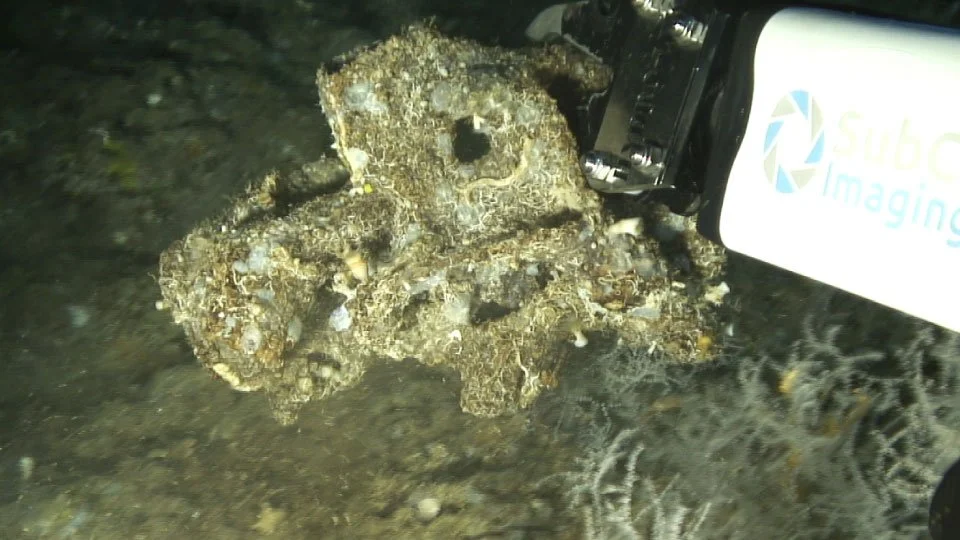 Subsea Digital Stills ROV Camera & 3D Modeling | SubC Imaging