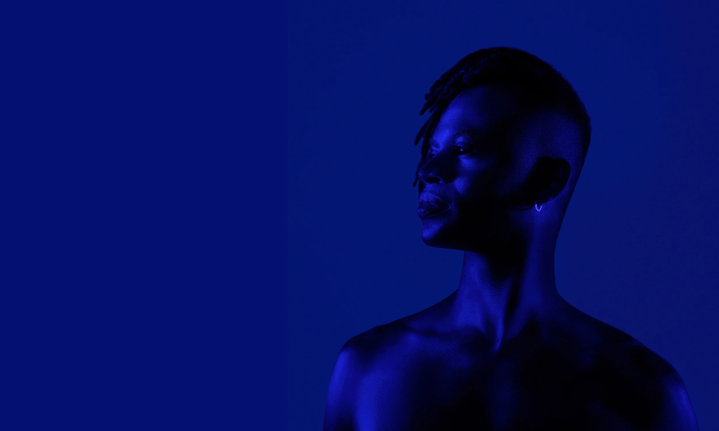 Wayne Snow - Official Website