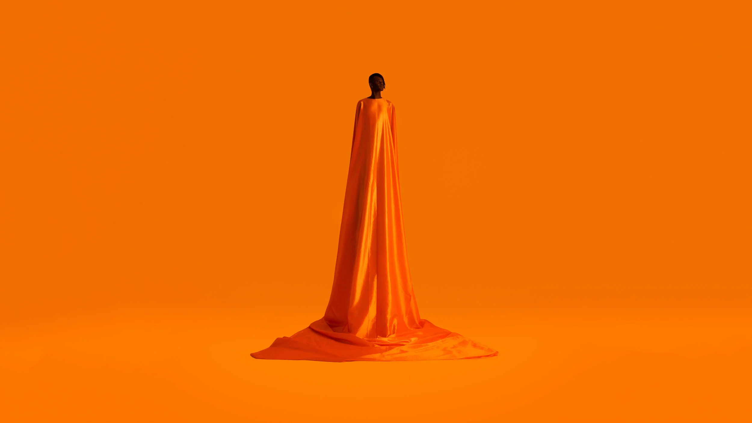 “Faceless” Out Now — Wayne Snow