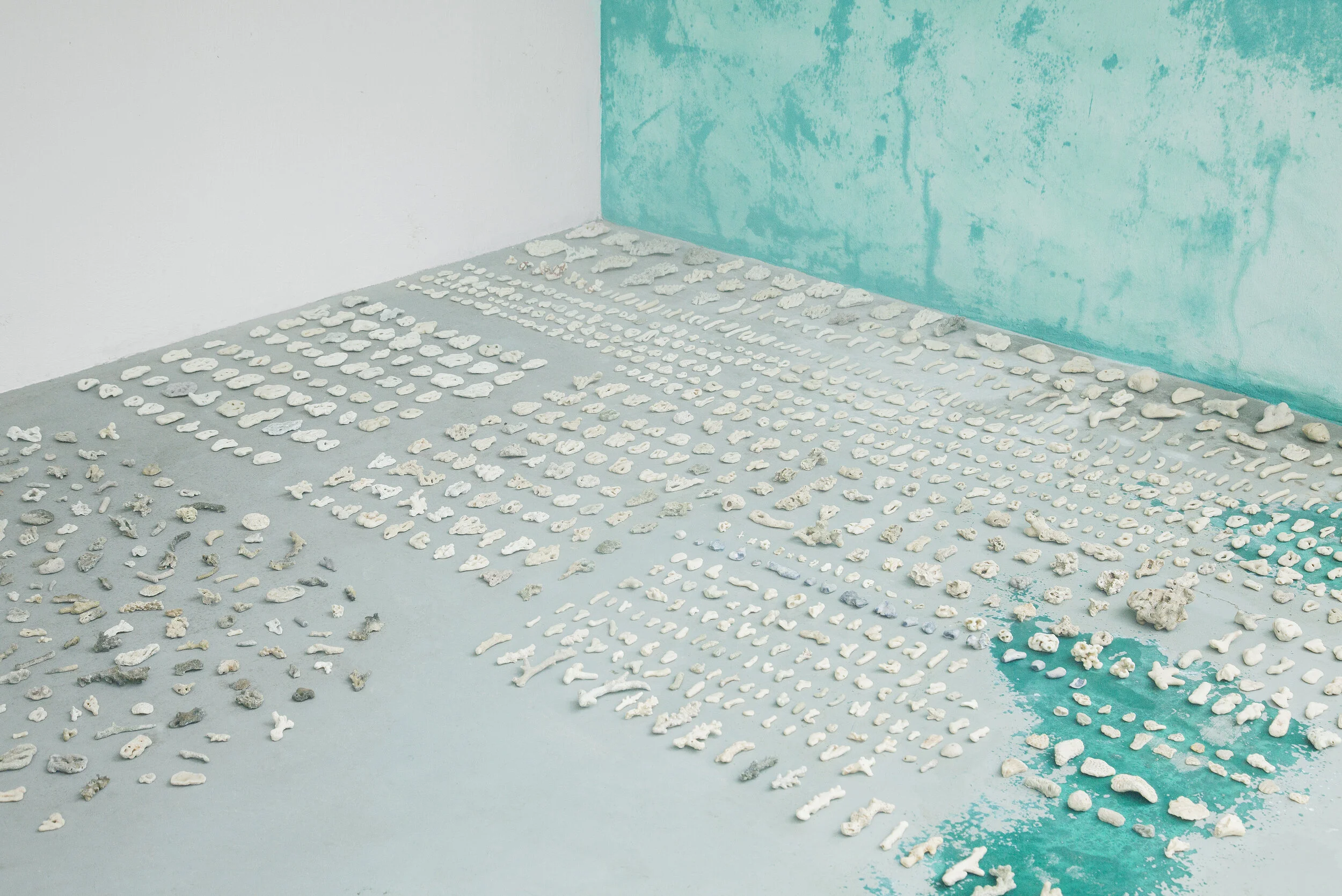 Coral Dictionary — Chang Yuchen