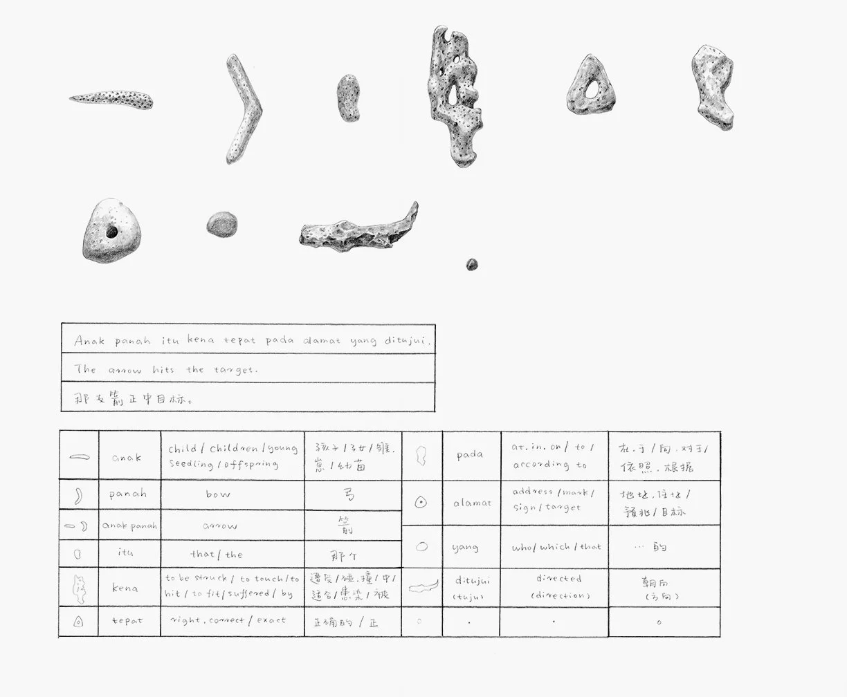 Coral Dictionary — Chang Yuchen