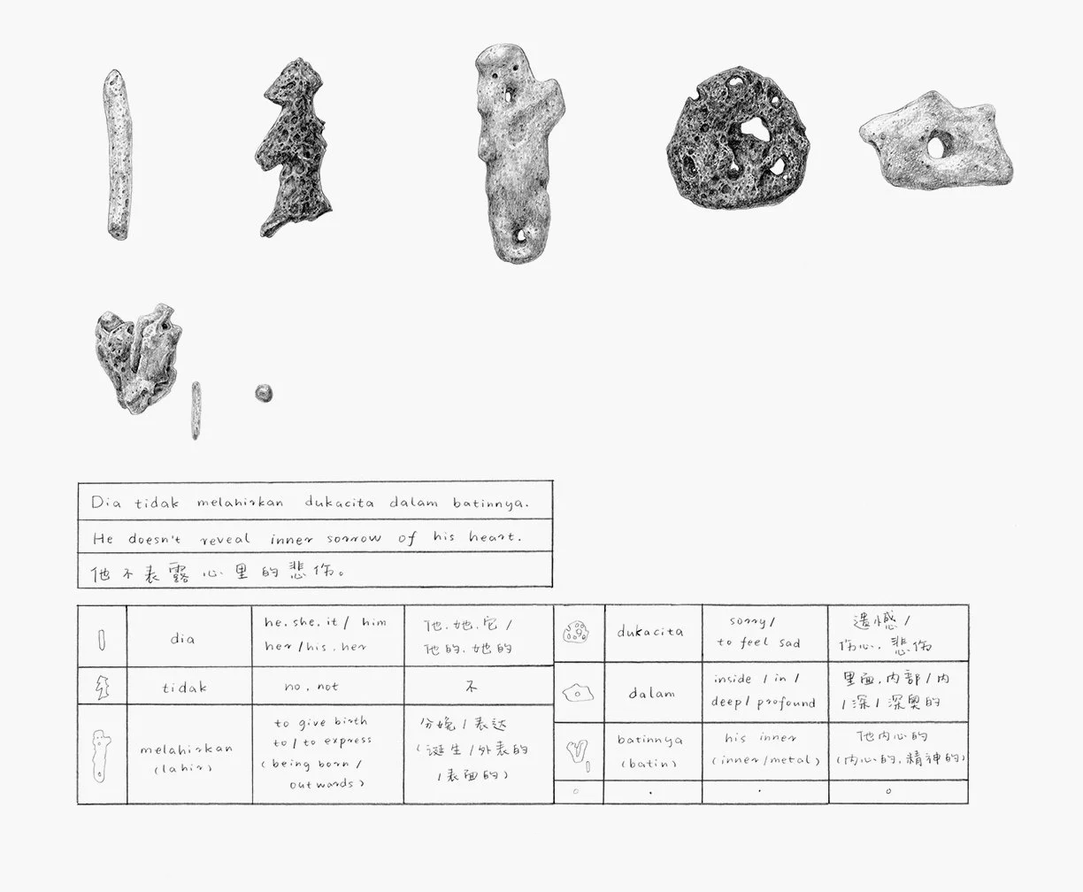 Coral Dictionary — Chang Yuchen