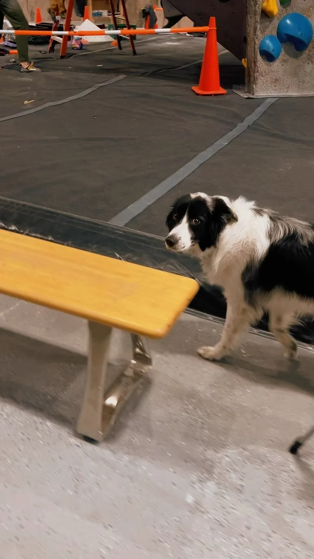 MetroRock Everett - Boston Climbing — MetroRock Everett Rock Climbing