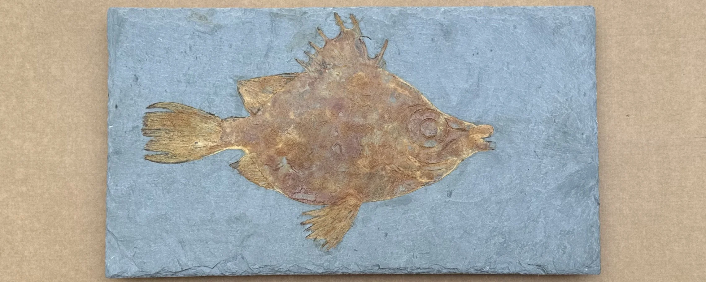 Store 2 — Michael Updike Carving Studio