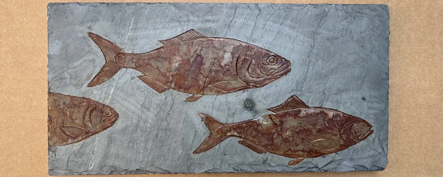 Store 2 — Michael Updike Carving Studio
