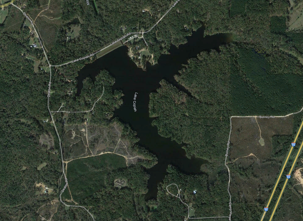 Lake Copiah — McMaster & Associates, Inc.