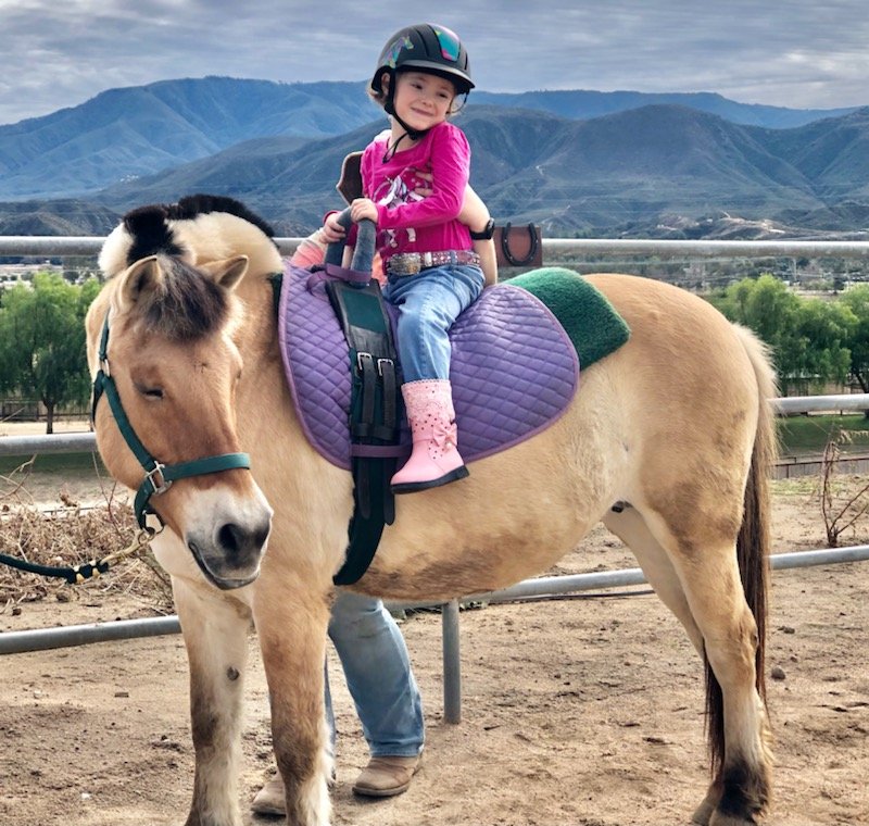 Therapeutic Horseback Riding — GAIT | Green Acres Interactive Therapy
