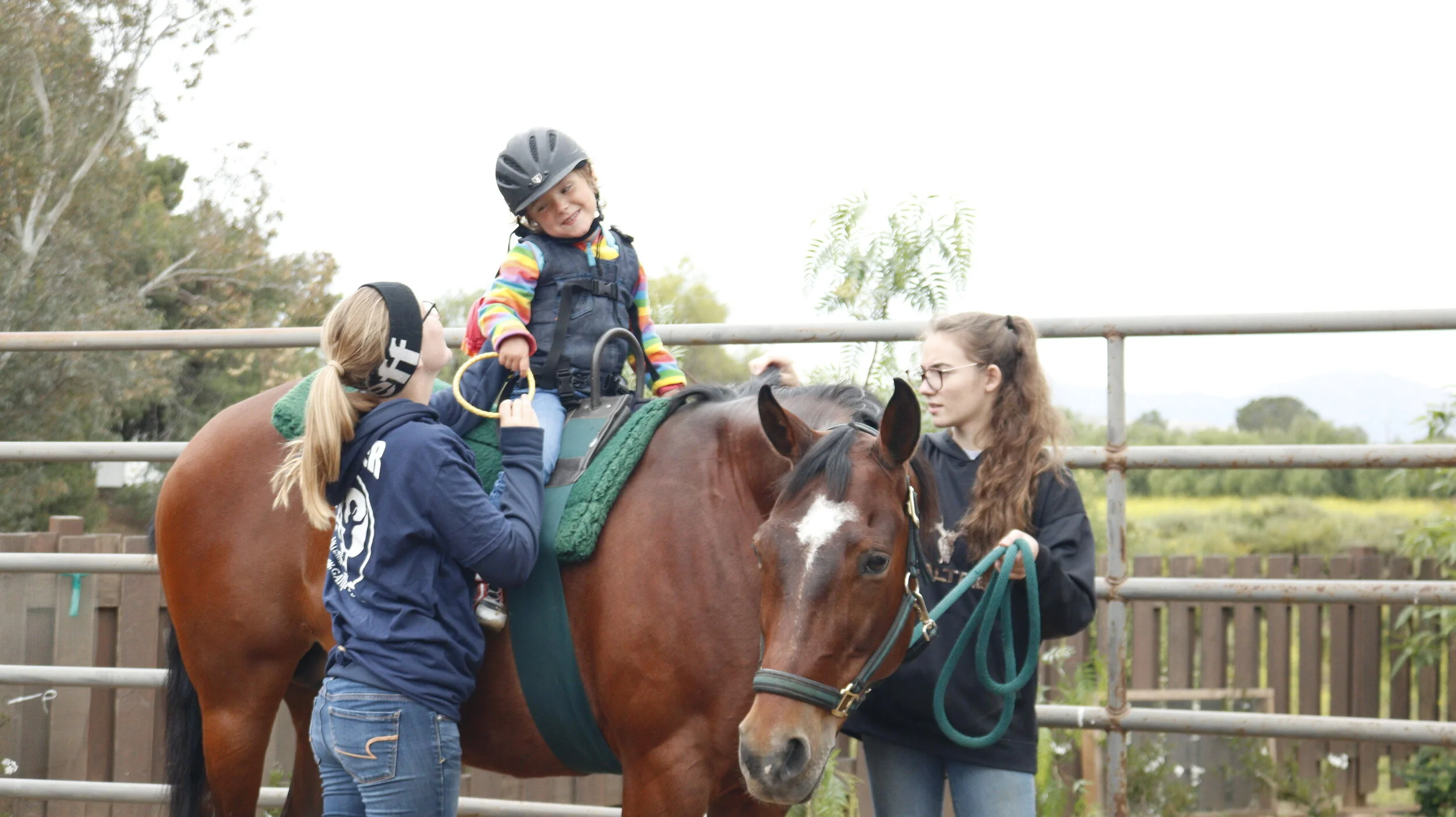 2020 Pony Up for GAIT Update — GAIT | Green Acres Interactive Therapy