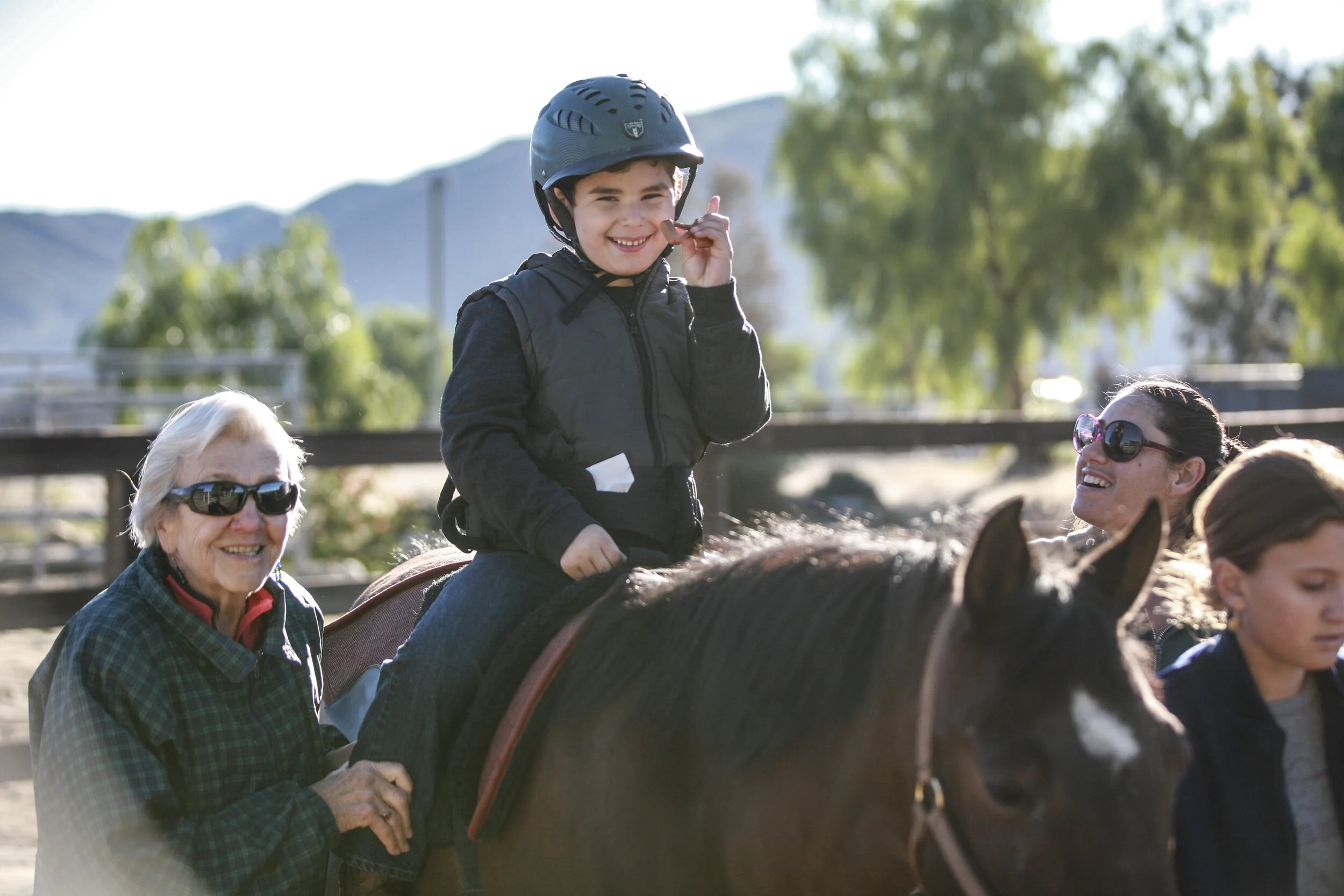 Therapeutic Horseback Riding — GAIT | Green Acres Interactive Therapy