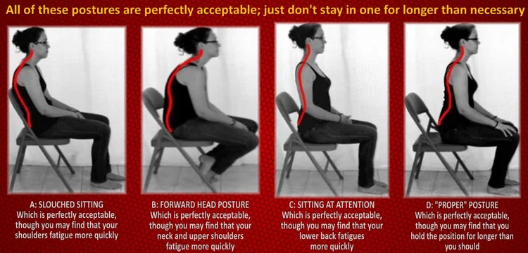 The "Perfect Posture" Myth — Movement Spine and Sport