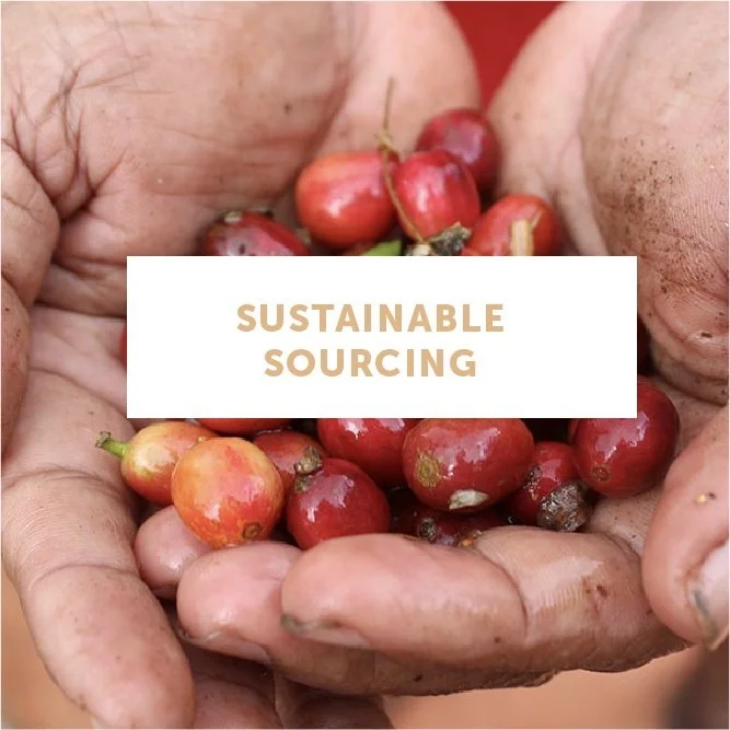 Ethical & Sustainable Coffee Roasters - Corner Store Network