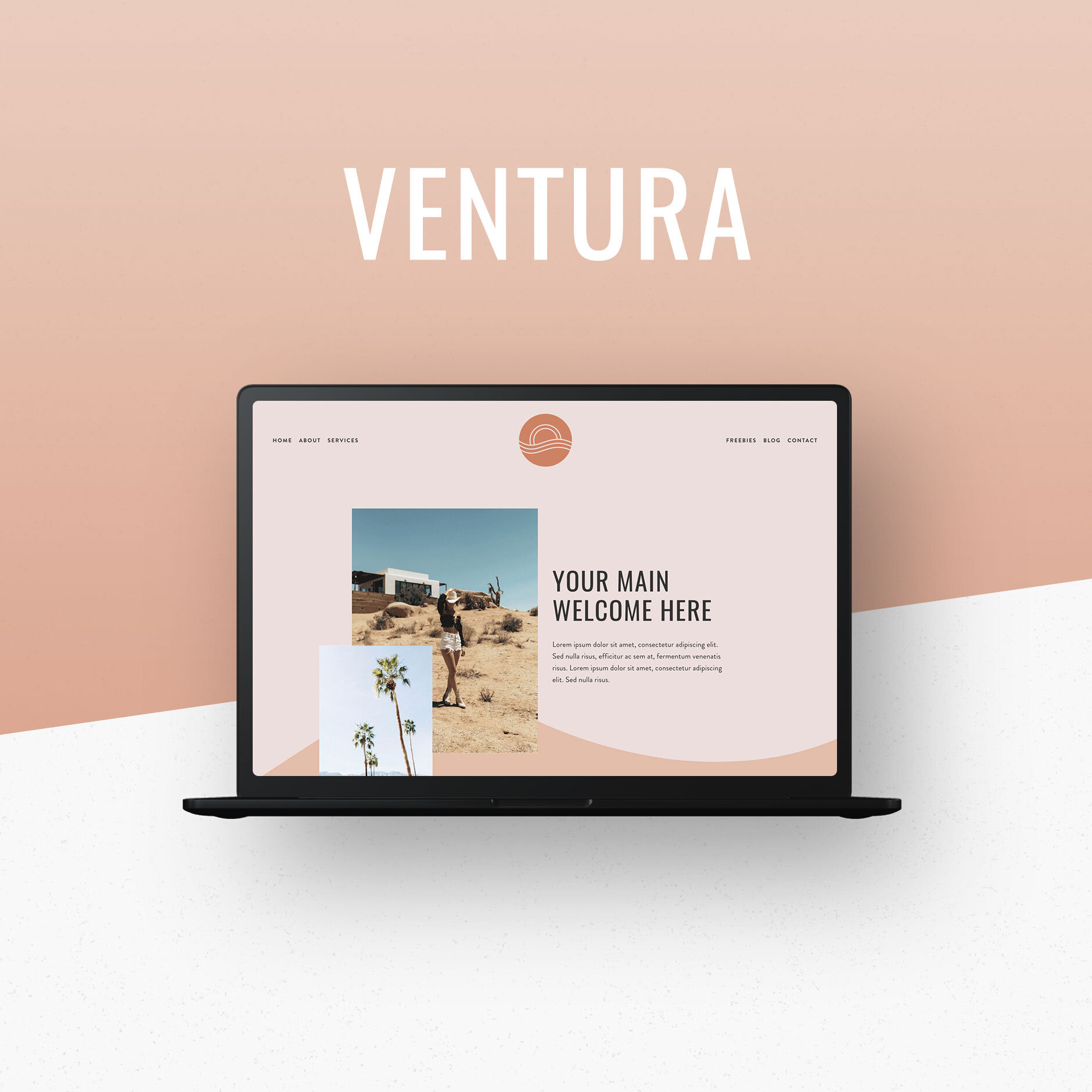 Big Cat Creative Squarespace Templates