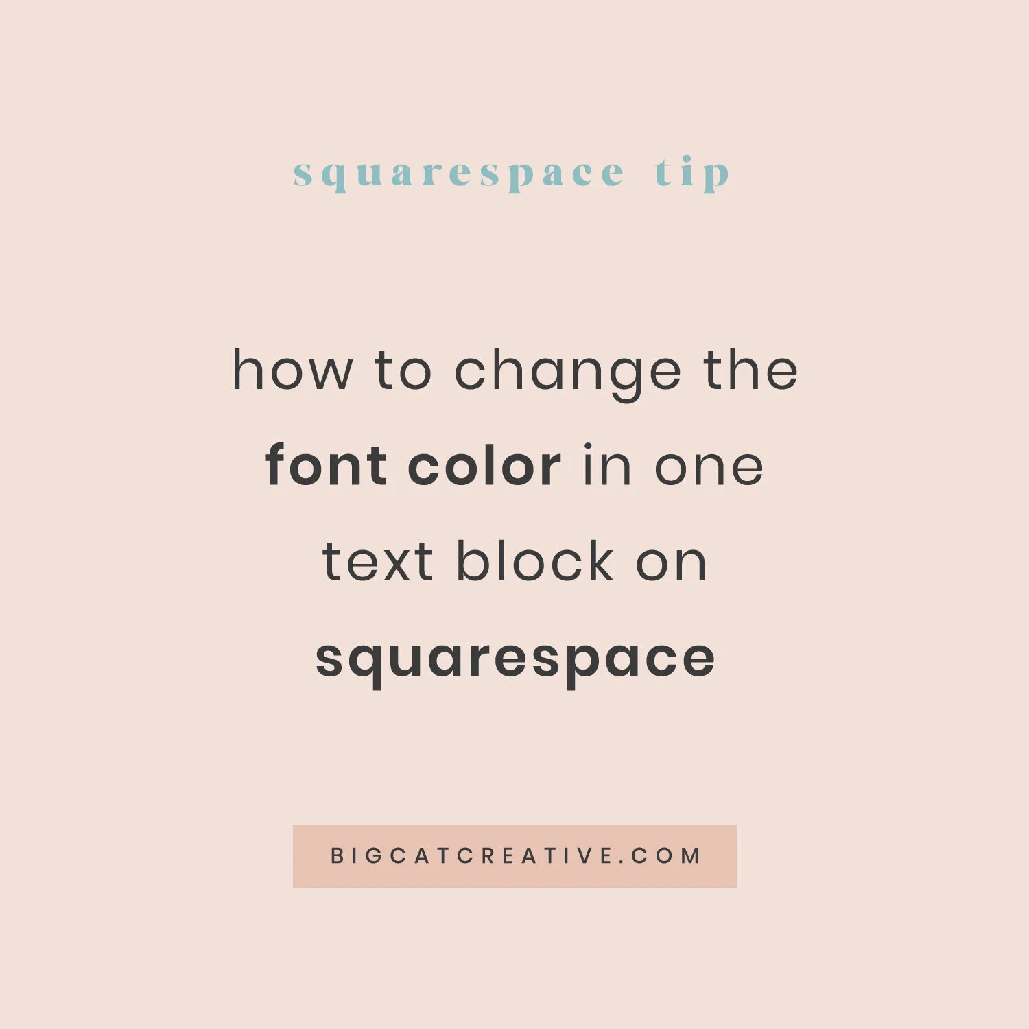 The 4 Best Modern Font Pairs For Squarespace Big Cat Creative The 4 Best Modern Font Pairs For Squarespace Big Cat Creative