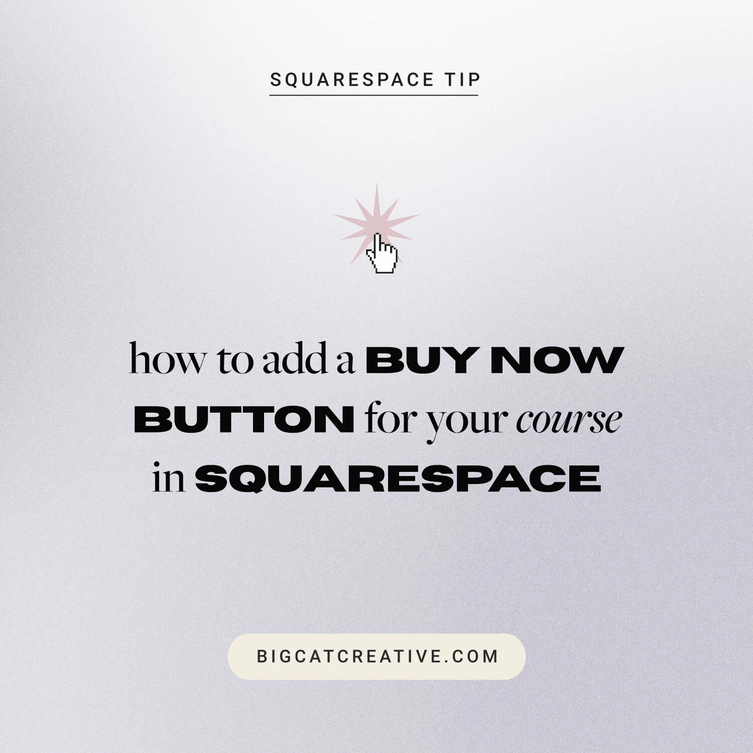How To Create A Media Library In Squarespace Big Cat Creative how-to-create-a-media-library-in-squarespace-big-cat-creative